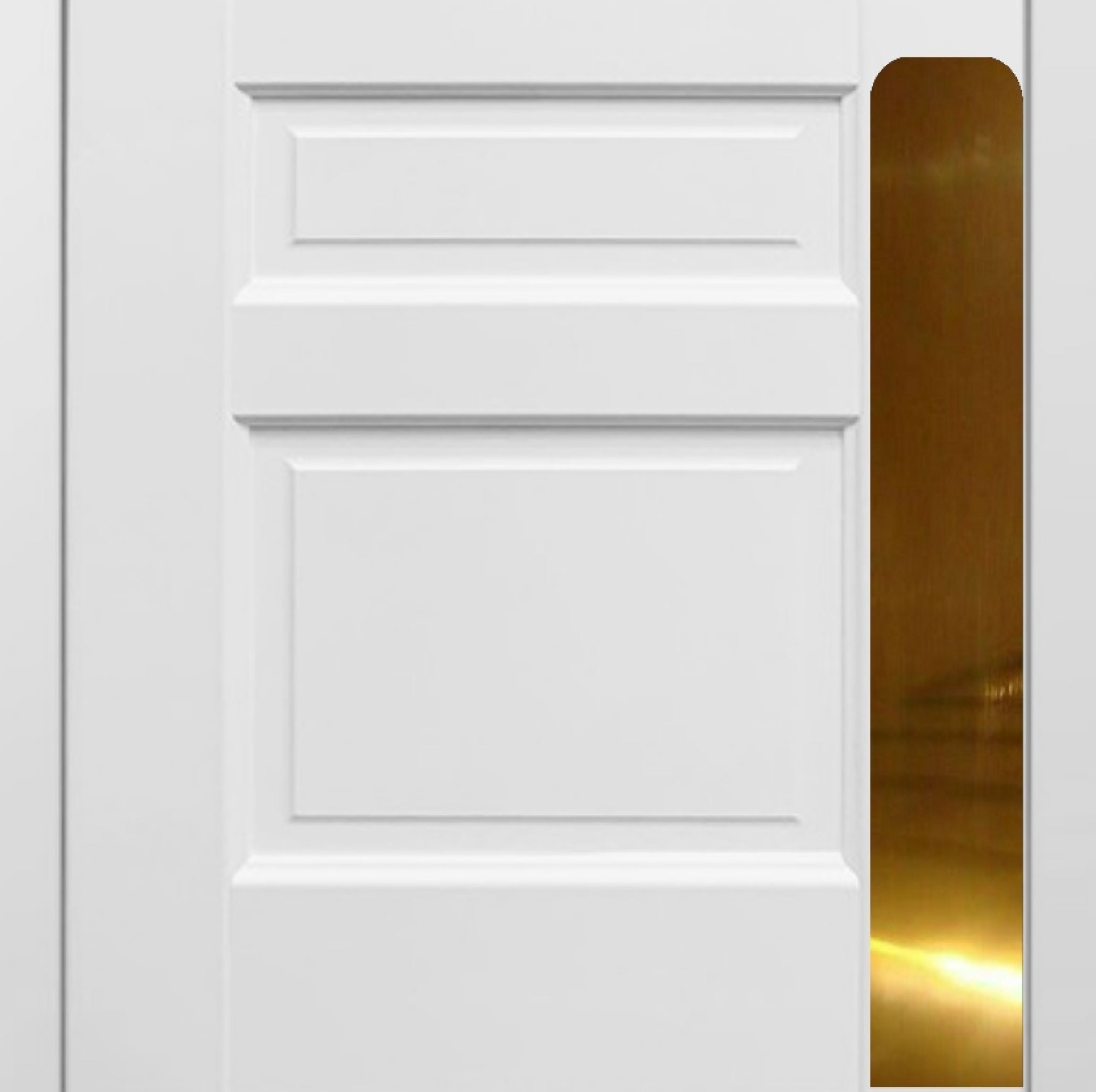 Dog Scratch Protection Door Plate – Multiple Size & Finish Options ...